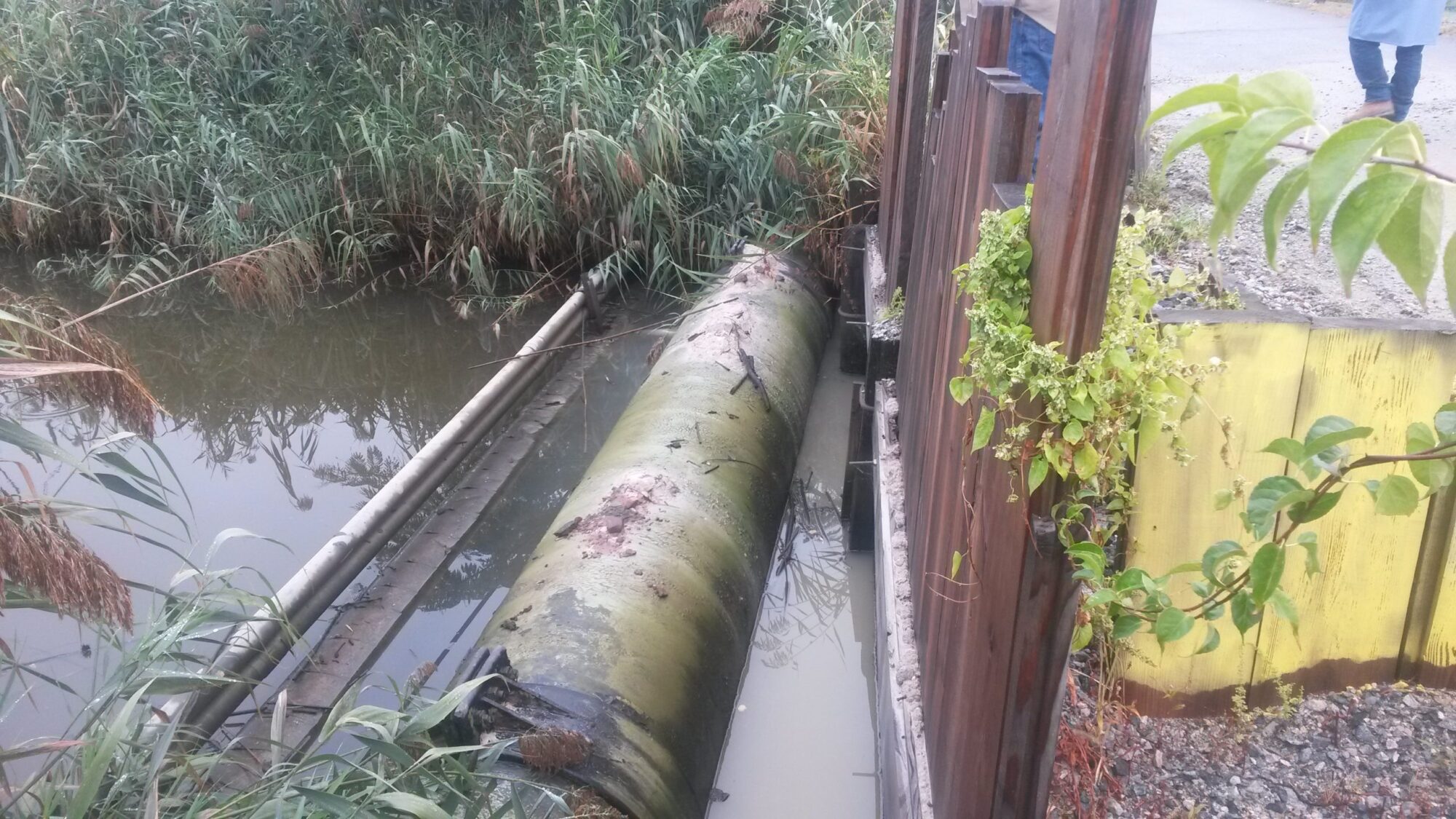 Williams Transco – Culvert Replacement - CP Engineers